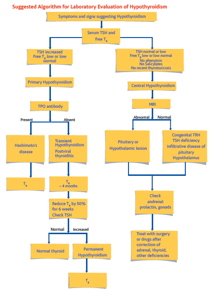 Hypothyroidism - Types, Causes and Recommendations