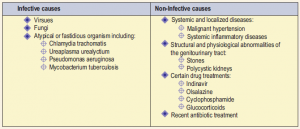 Sterile Pyuria - Etymology, Investigation and Management