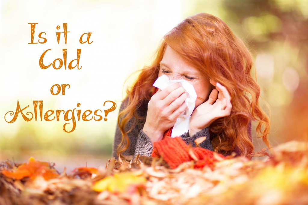 Allergy Test – Types, Reasons, Importance and Risks | Dr Lal PathLabs Blog