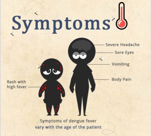 What is Dengue? - Understand its Symptoms, diagnosis, types and ...