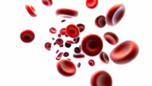 Understanding the Importance of Complete Blood Count