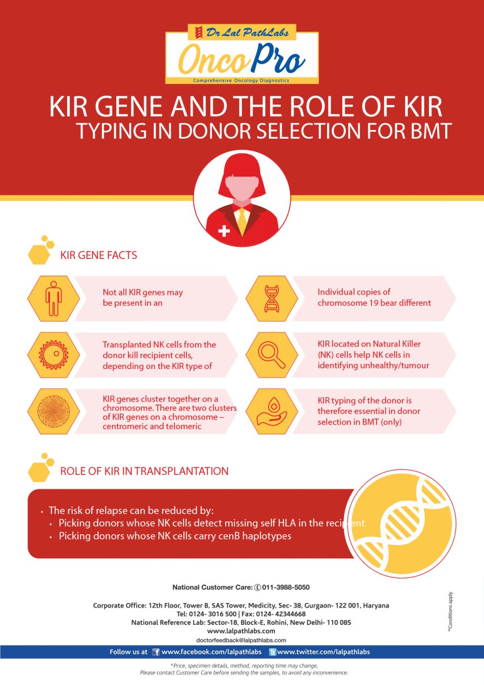 KIR Gene and the Role of KIR Typing in Donor Selection for BMT