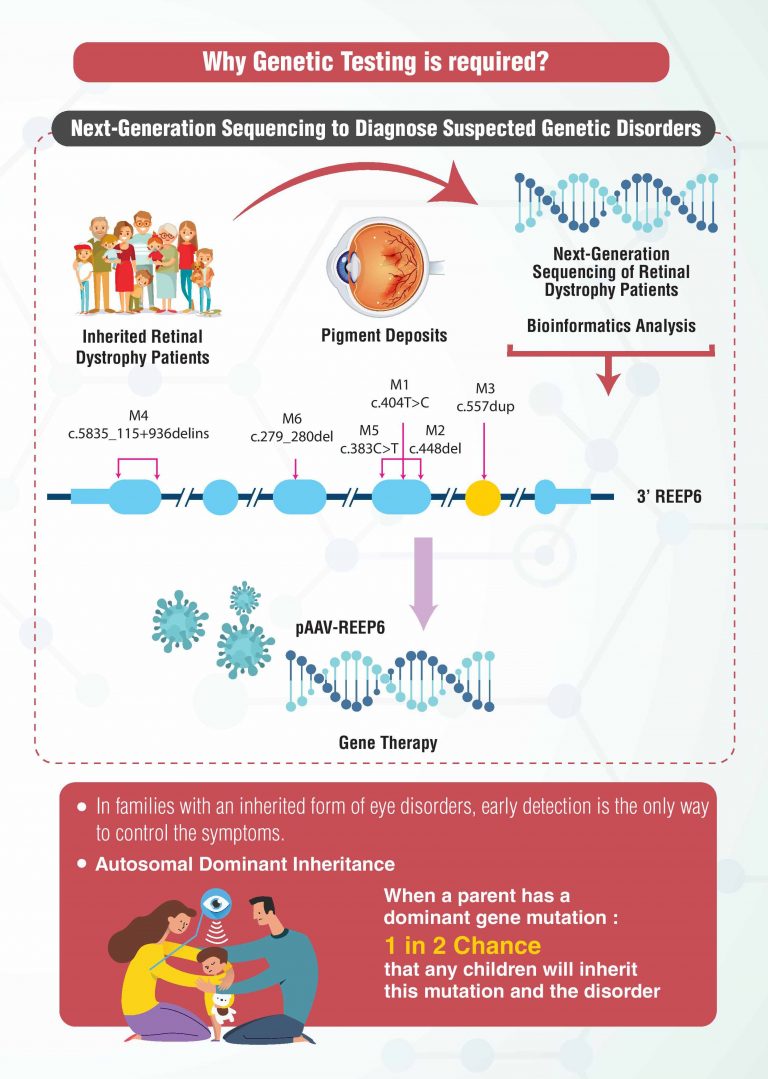 Inherited Retinal Diseases: Retinitis Pigmentosa | Retinoblastoma