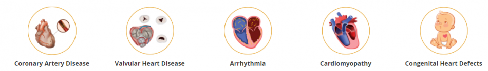 Overview of Heart Disease - Symptoms, Diagnosis & Risk Factors