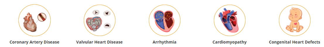 Overview of Heart Disease - Symptoms, Diagnosis & Risk Factors