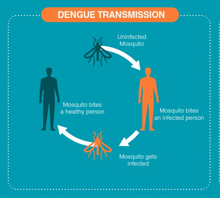 Overivew of Dengue - Know its Signs and Symptoms