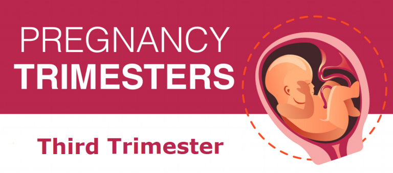 3rd Trimester - Weeks, Development, Physical & Psychological Changes ...