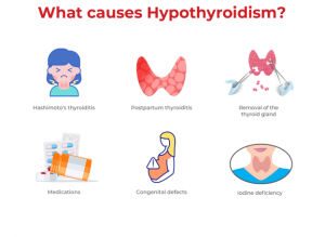 Thyroid Problem – Types, Causes, Symptoms & Diagnosis | Lal PathLabs