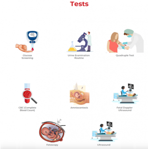 Second Trimester of Pregnancy - Symptoms & Tests | Lal PathLabs