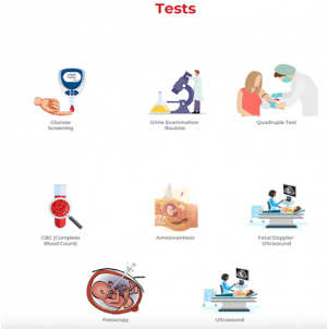 Second Trimester of Pregnancy - Symptoms & Tests | Lal PathLabs