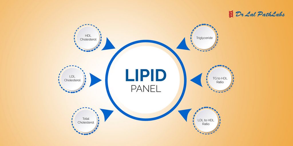 Lipid Profile Test: Purpose, Procedure and Results | Dr. Lal PathLabs