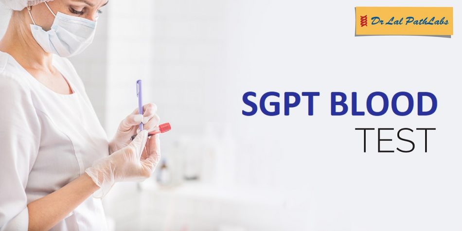 What Is SGPT Test, Uses, Procedure and Results | Dr. Lal PathLabs