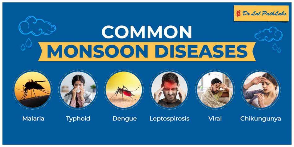 Common Monsoon Diseases Archives | Dr Lal PathLabs Blog