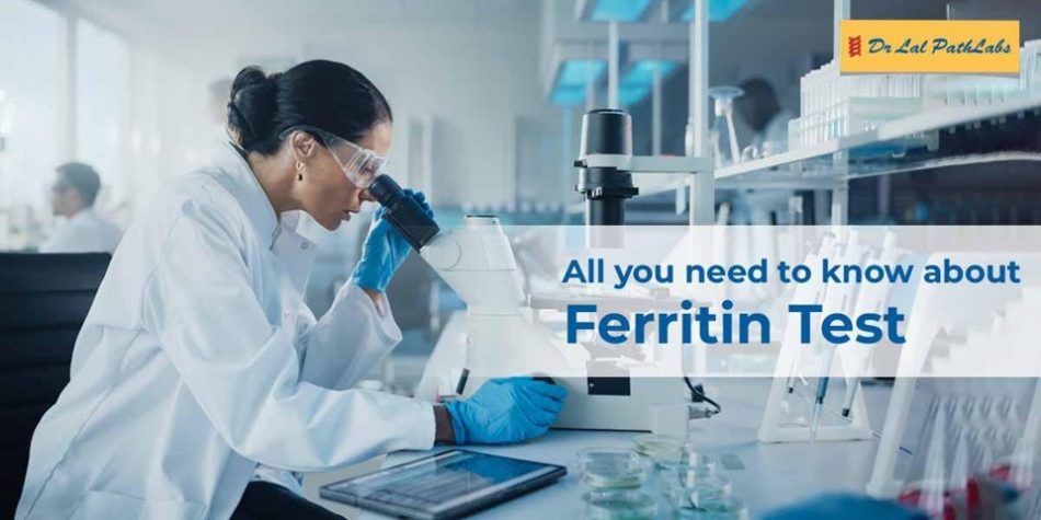 Ferritin Blood Test: What Is It, Purpose and Procedure | Dr. Lal PathLabs
